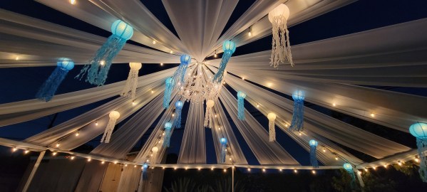 Naked Canopy Draping - Frame Only - Cosmos Event Rentals