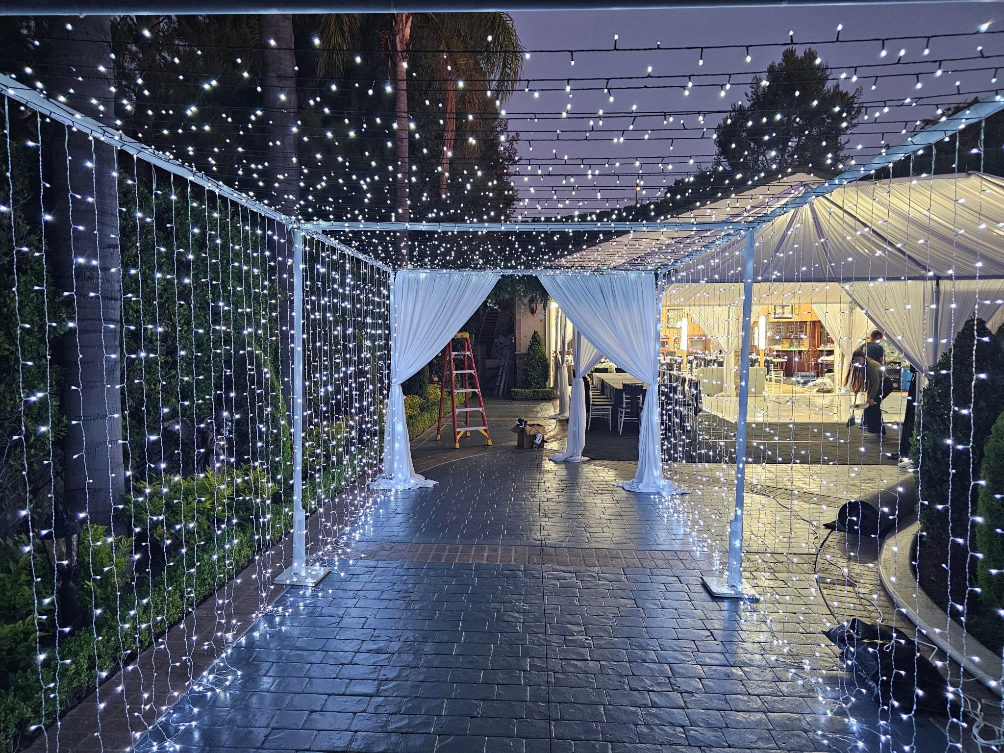 Twinkle Light Tunnel - Cosmos Event Rentals